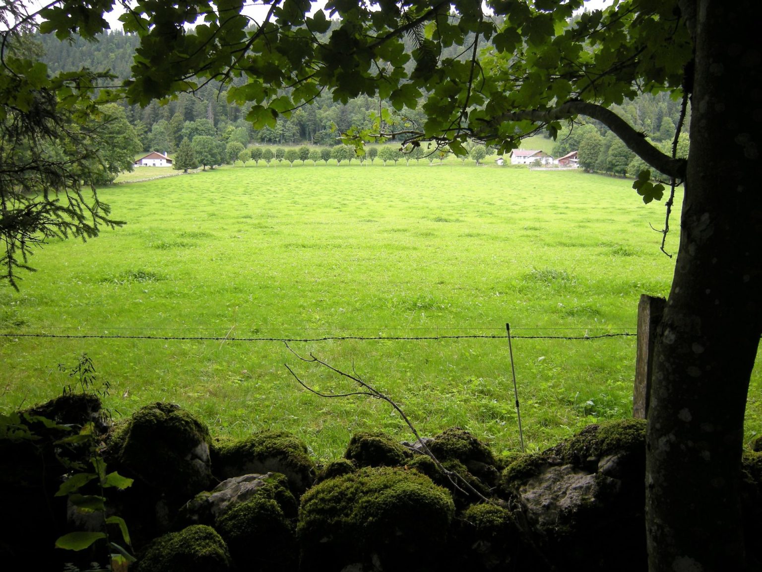 Randonnée - A la Montagne de Cernier — Sur les traces de nos pionniers ...